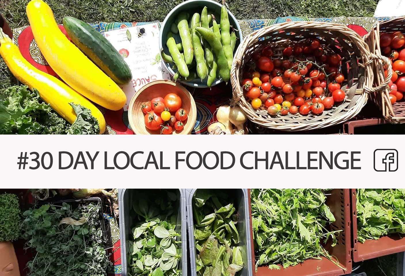 The 30 Day Local Food Challenge - Lisa Fingleton