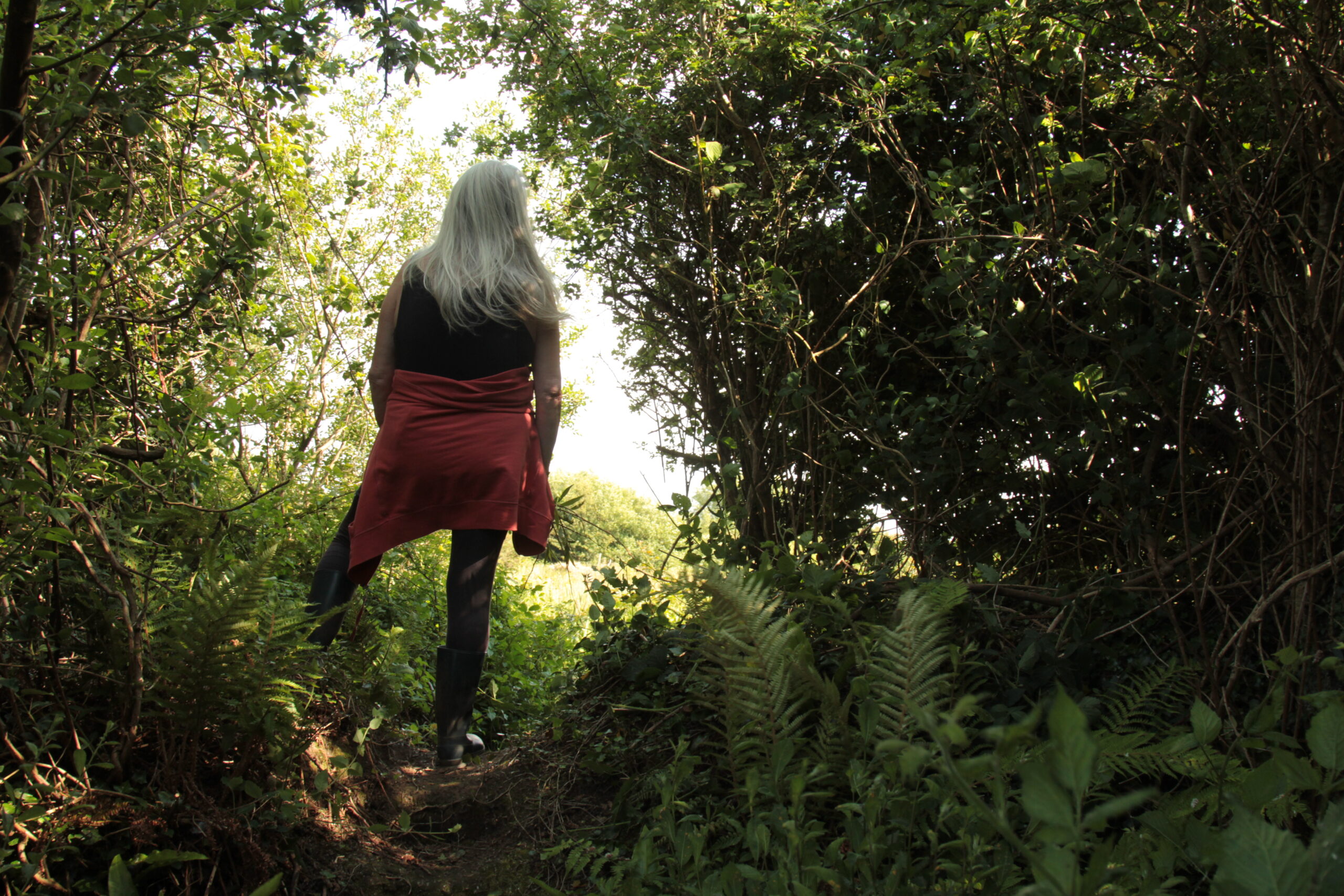 This Living Land @The Barna Way, Culture night 2021 - Lisa Fingleton