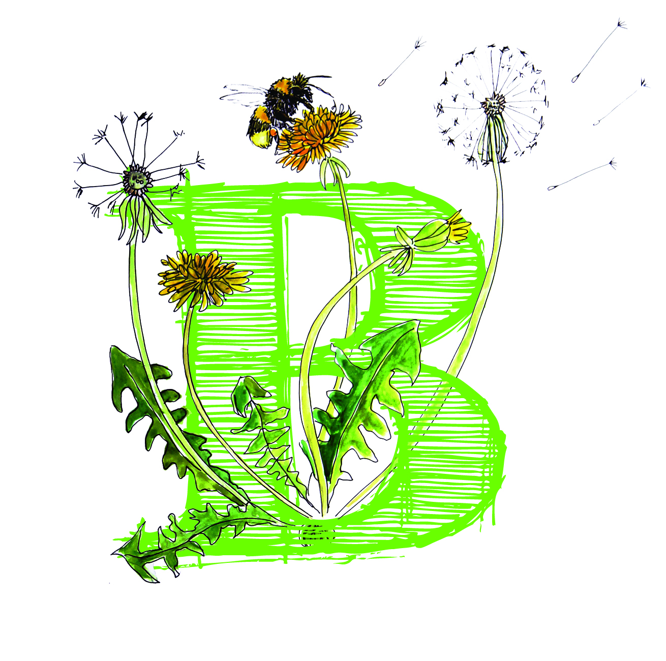 Lisa Fingleton | Ecosocial Artist Writer and Organic Grower